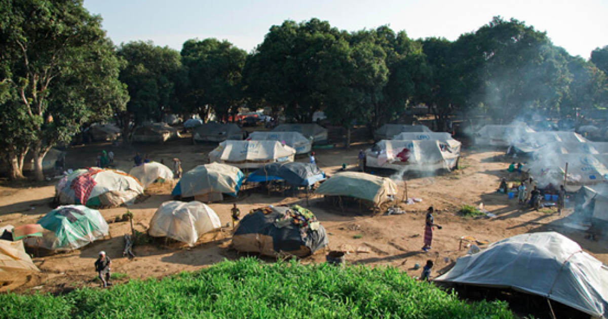 Review of OCA General Director recruitment and leadership transition ...